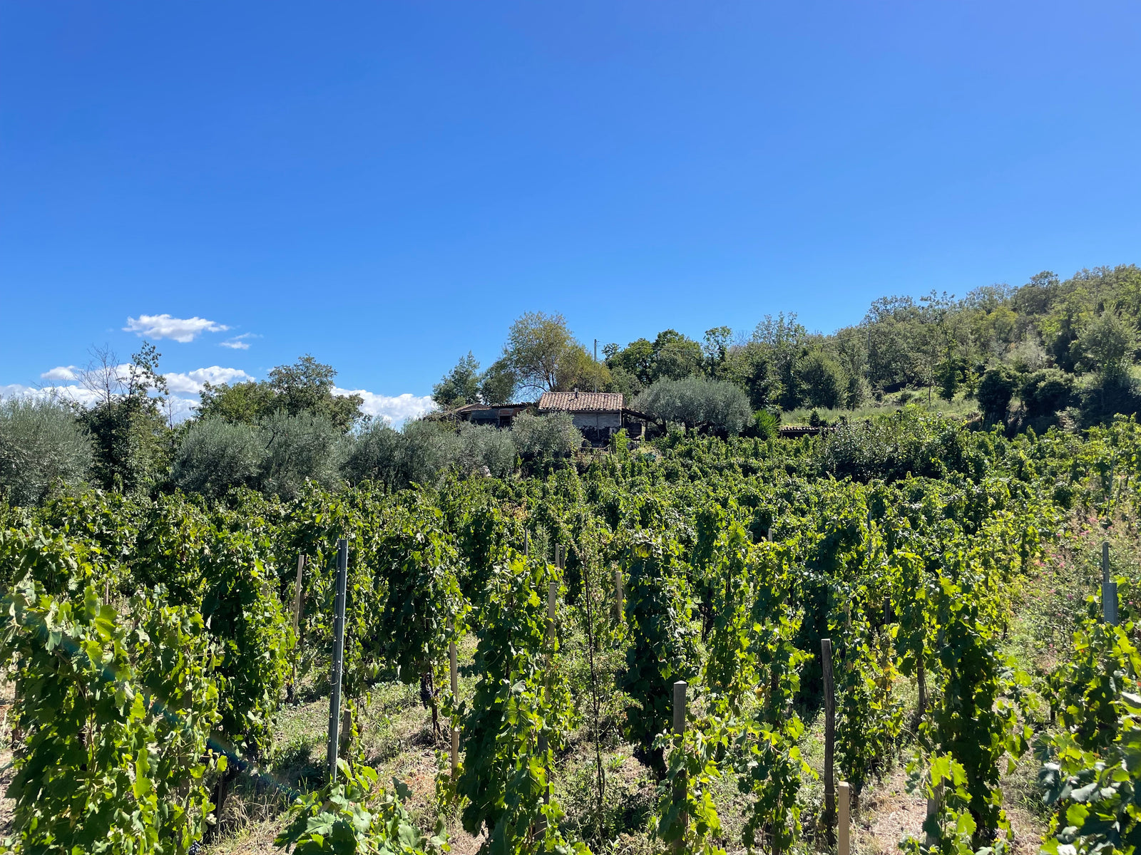 Cédric Perraud – OFF GRID